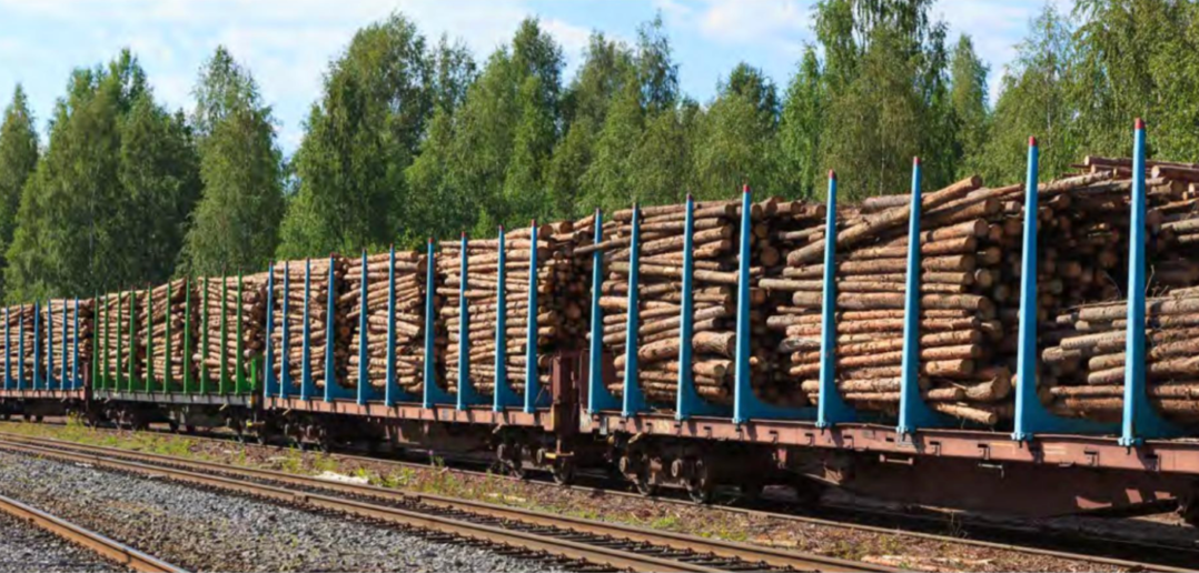 BSW Timber Improves Route Planning Time Dramatically with Aptean ...