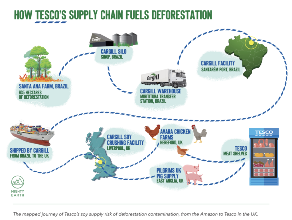 Meat sold in Tesco linked to major deforestation in the Amazon ...