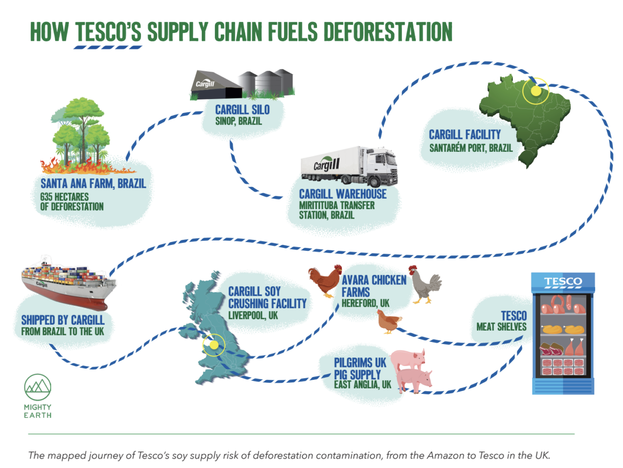 Meat sold in Tesco linked to major deforestation in the Amazon ...