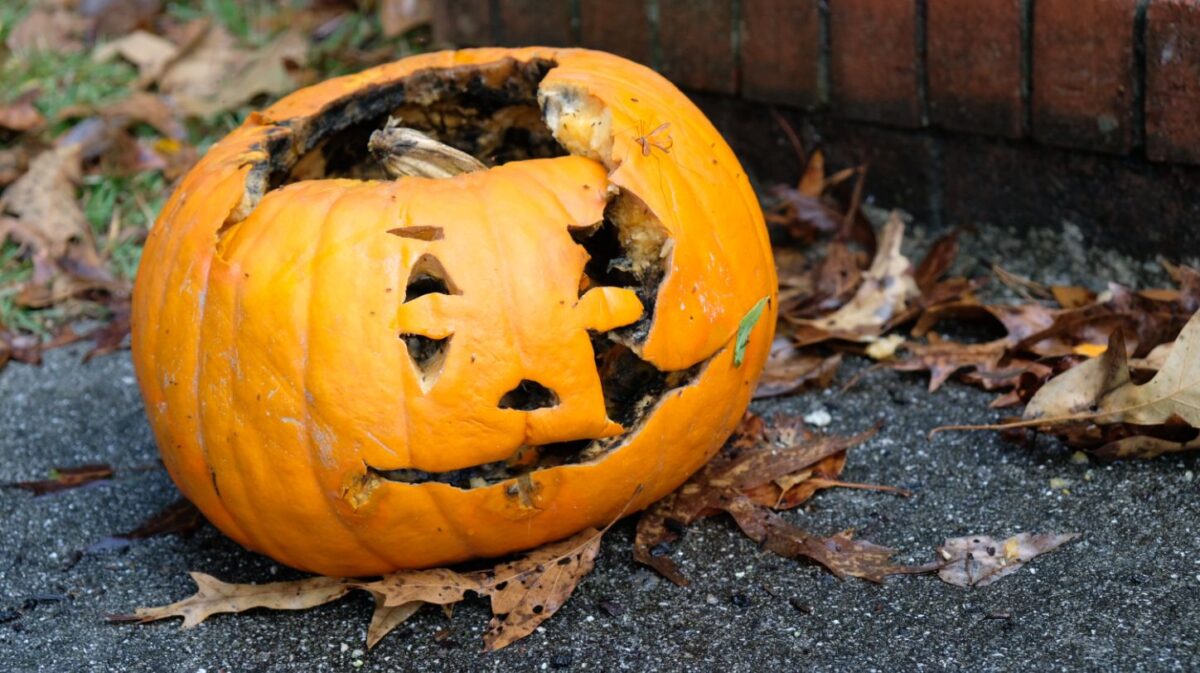 'Scary' levels of waste expected in supply chains over Halloween ...