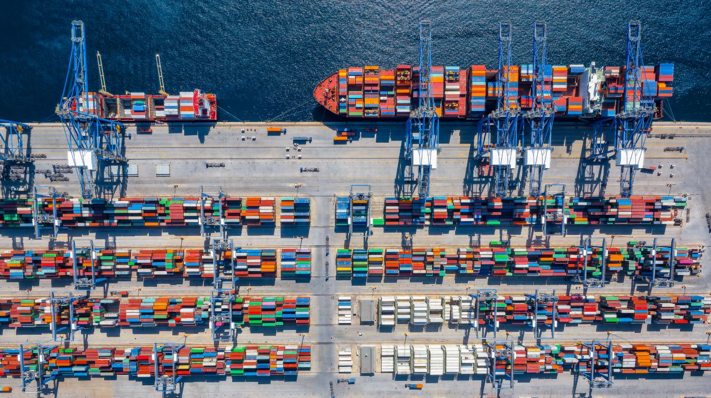 US port cargo growth set to slow in 2025 amid economic challenges ...