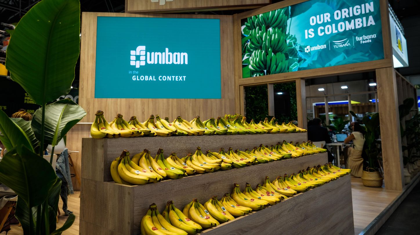 Uniban launches logistics unit to shorten European delivery times ...